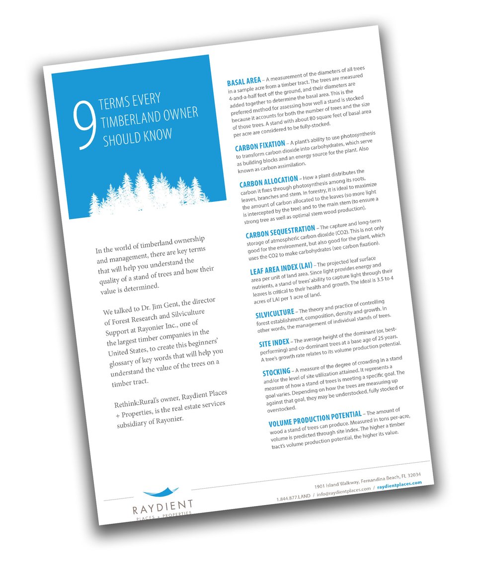 Download your cheat sheet: 9 Terms Every Timberland Owner Should Know
