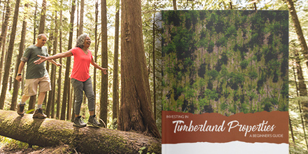 A Beginners Guide to Investing in Timberland Properties
